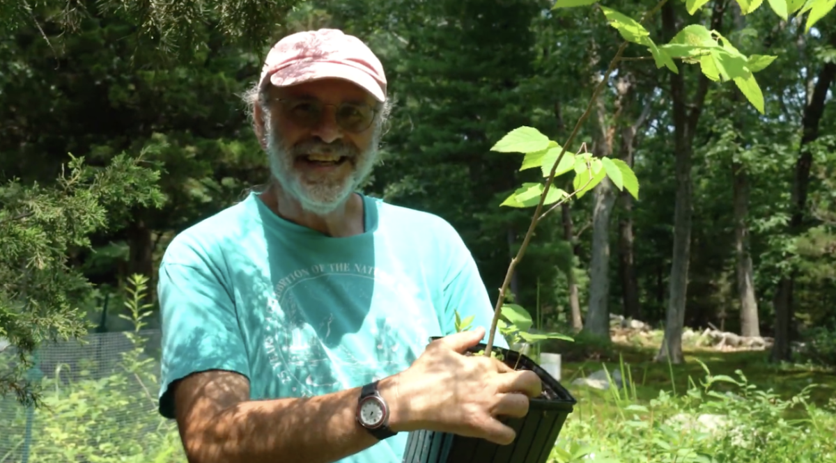 Profiles – Danny Mortimer